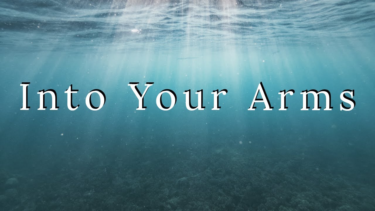 Witty Lowry - Into Your Arms (Lyrics) Ft. Ava Max [Into Your Arms ...