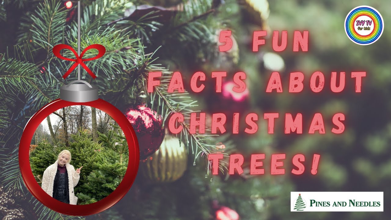 5 FUN FACTS ABOUT CHRISTMAS TREES! IVY TV KIDS! #christmastrees # ...