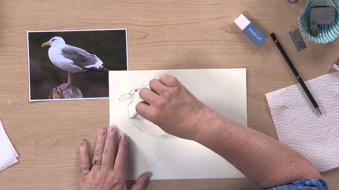Preview | Drawing Basics: How to See, How to Draw with Claudia Nice ...