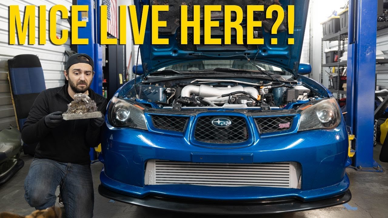 Building a Timeless Subaru WRX STI (RestoMod: Fuel Pump, Rats Nest ...