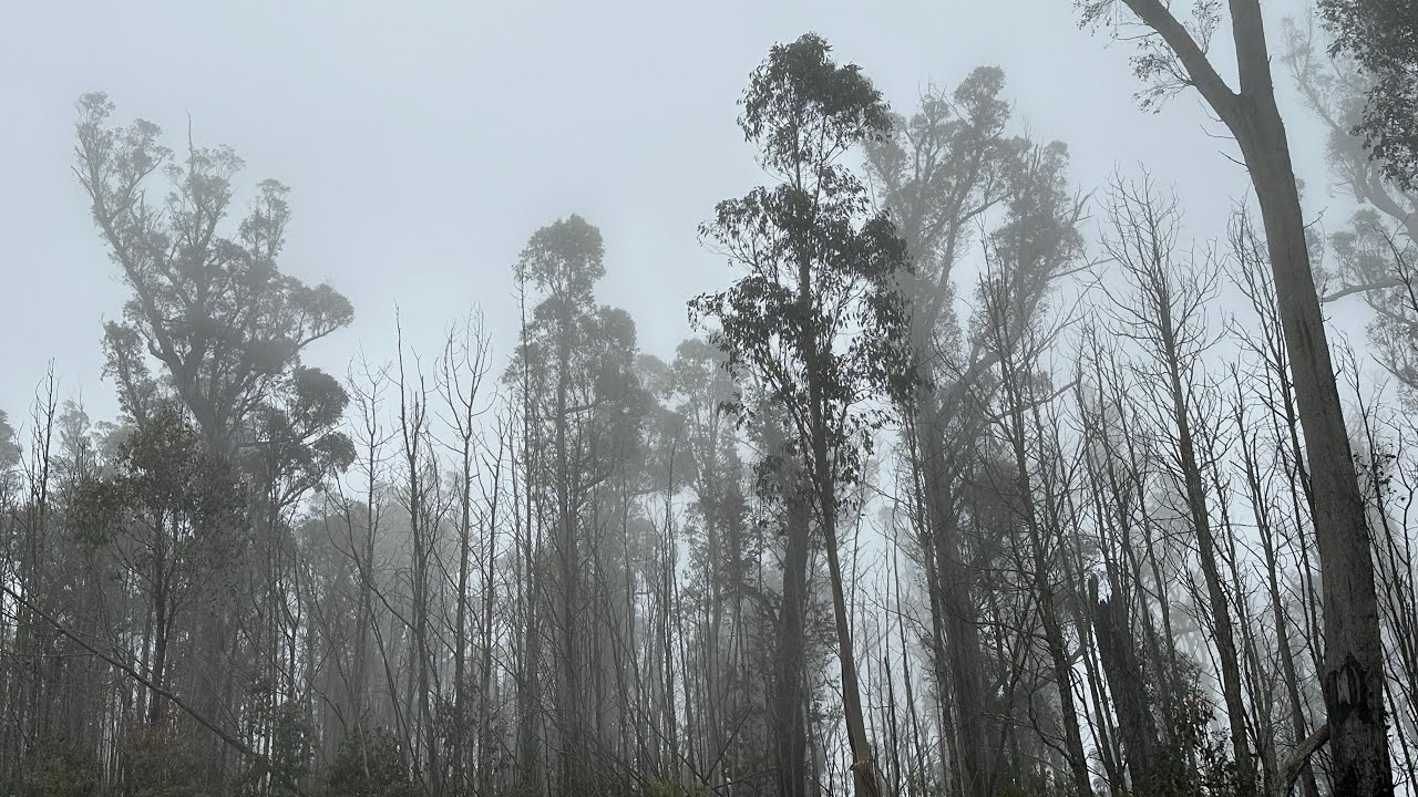 Exploring the Haunted Stream Track - YouTube