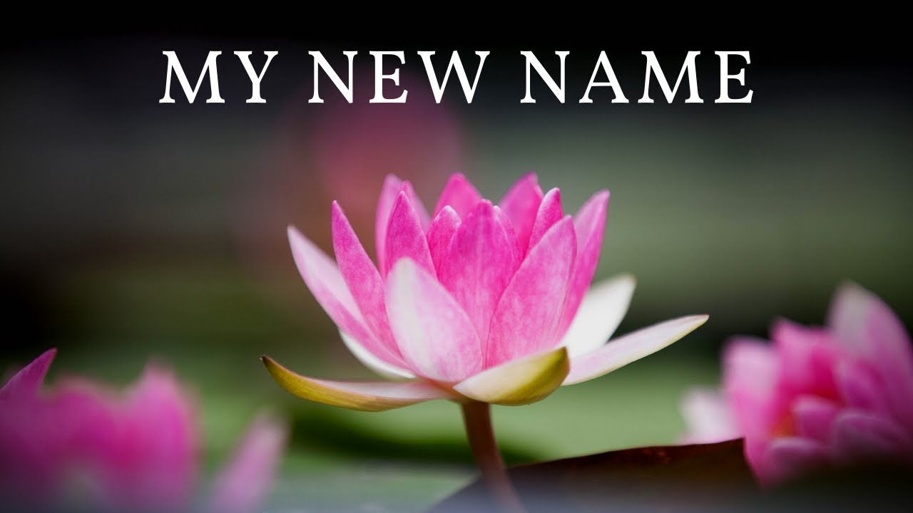 My New Name - YouTube