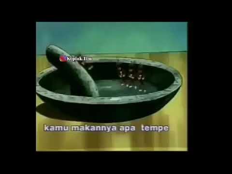 Kamu makannya apa TEMPEK! 💦
