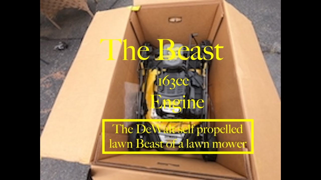 The DeWalt 163cc self propelled walk behind Lawn Mower - YouTube