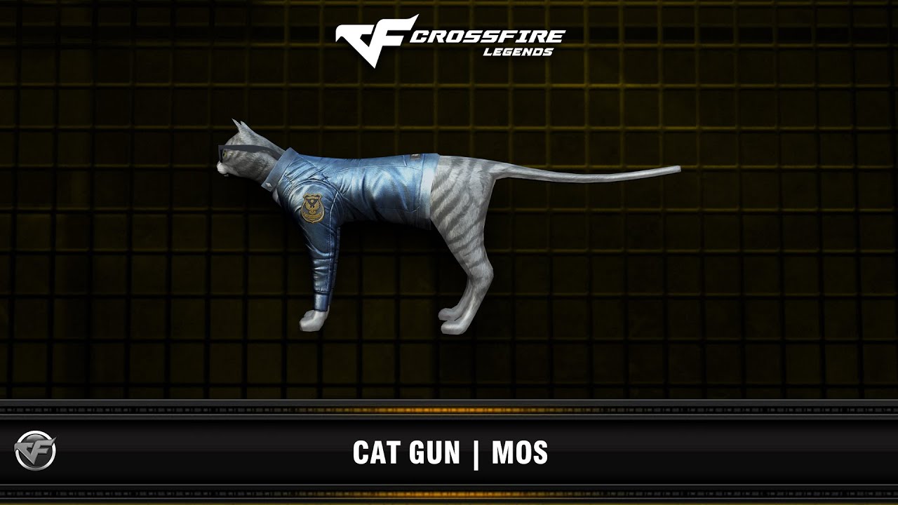 CFM : Cat Gun | MOS - YouTube