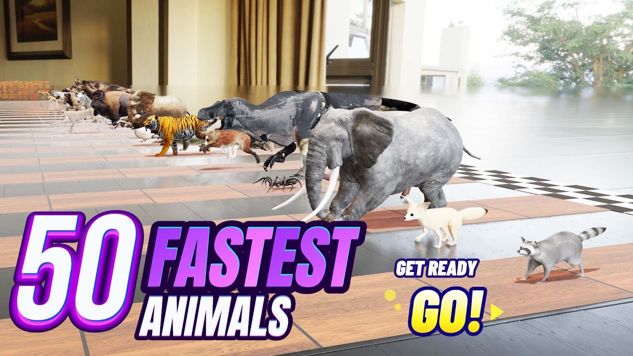 50 Animals Race to Victory in My House: The Ultimate Showdown! - YouTube