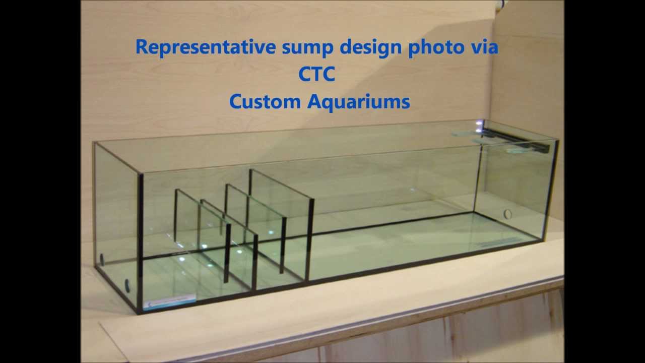 Designing the new saltwater aquarium reef - YouTube