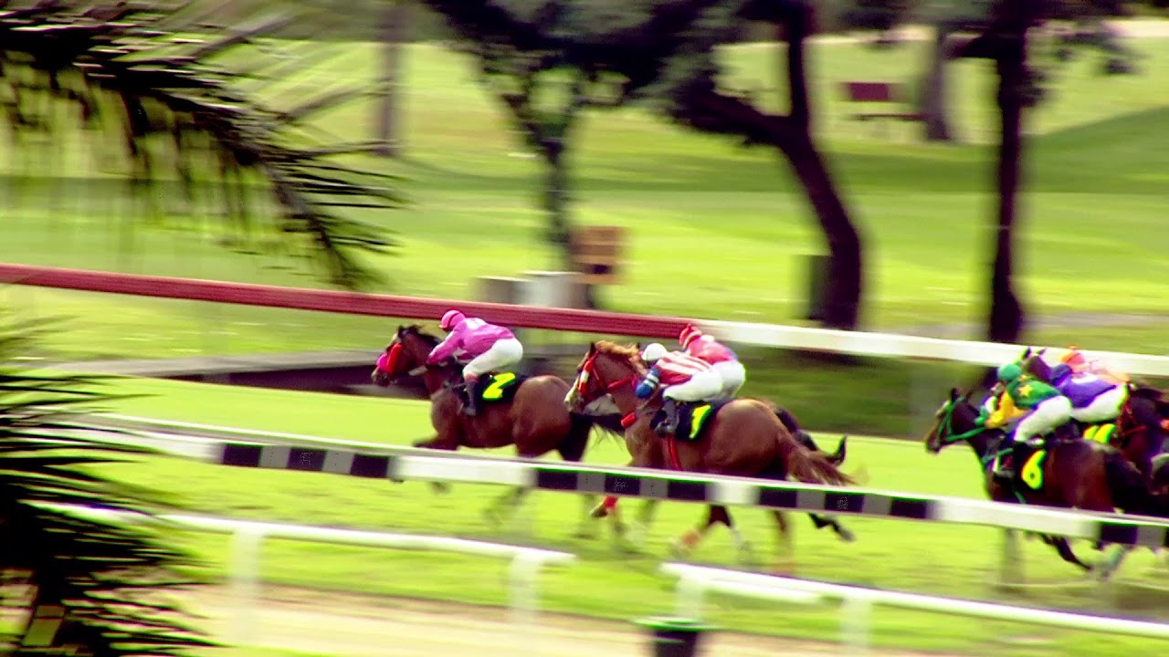 Thailand horse racing 2017 Dec,2 Race 6 Div 4 - YouTube