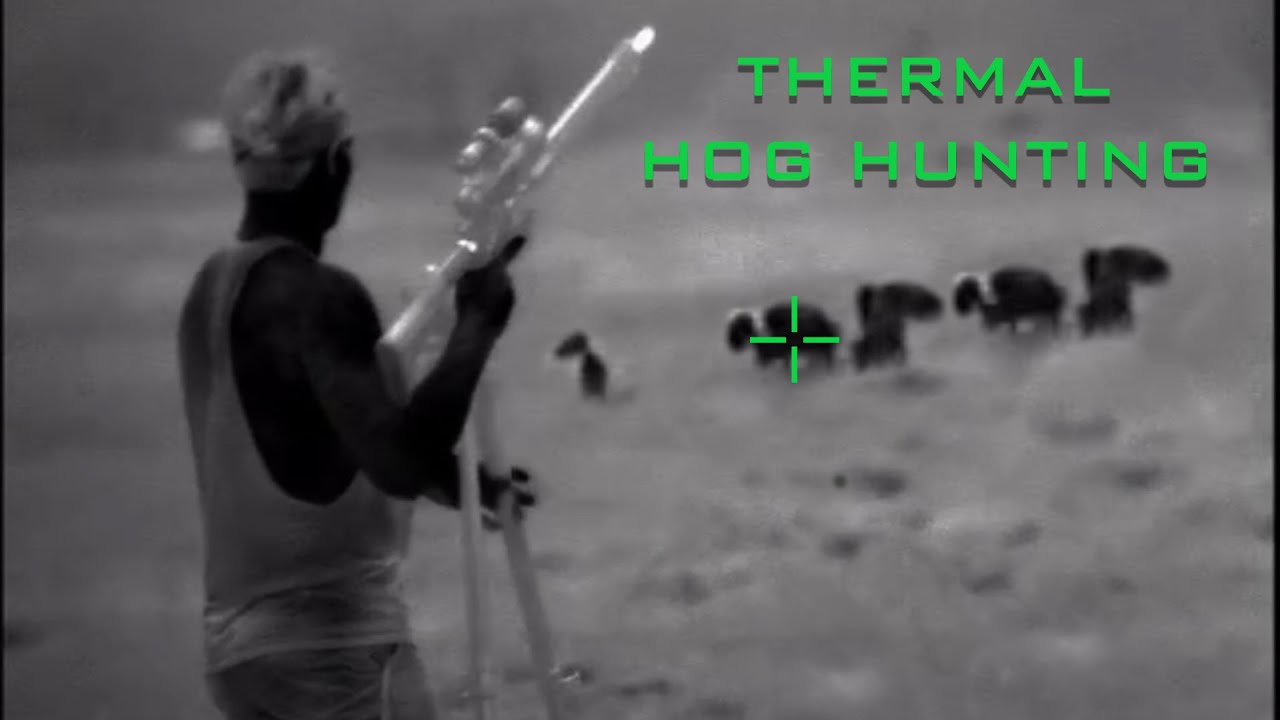 Night Vision/Thermal pig hunting in Texas - YouTube
