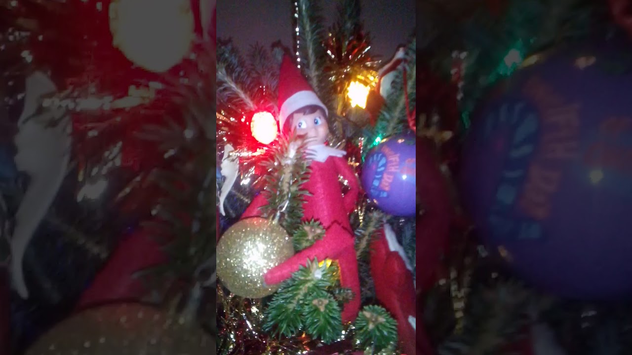 Haunted Elf On the shelf! Part 1! - YouTube