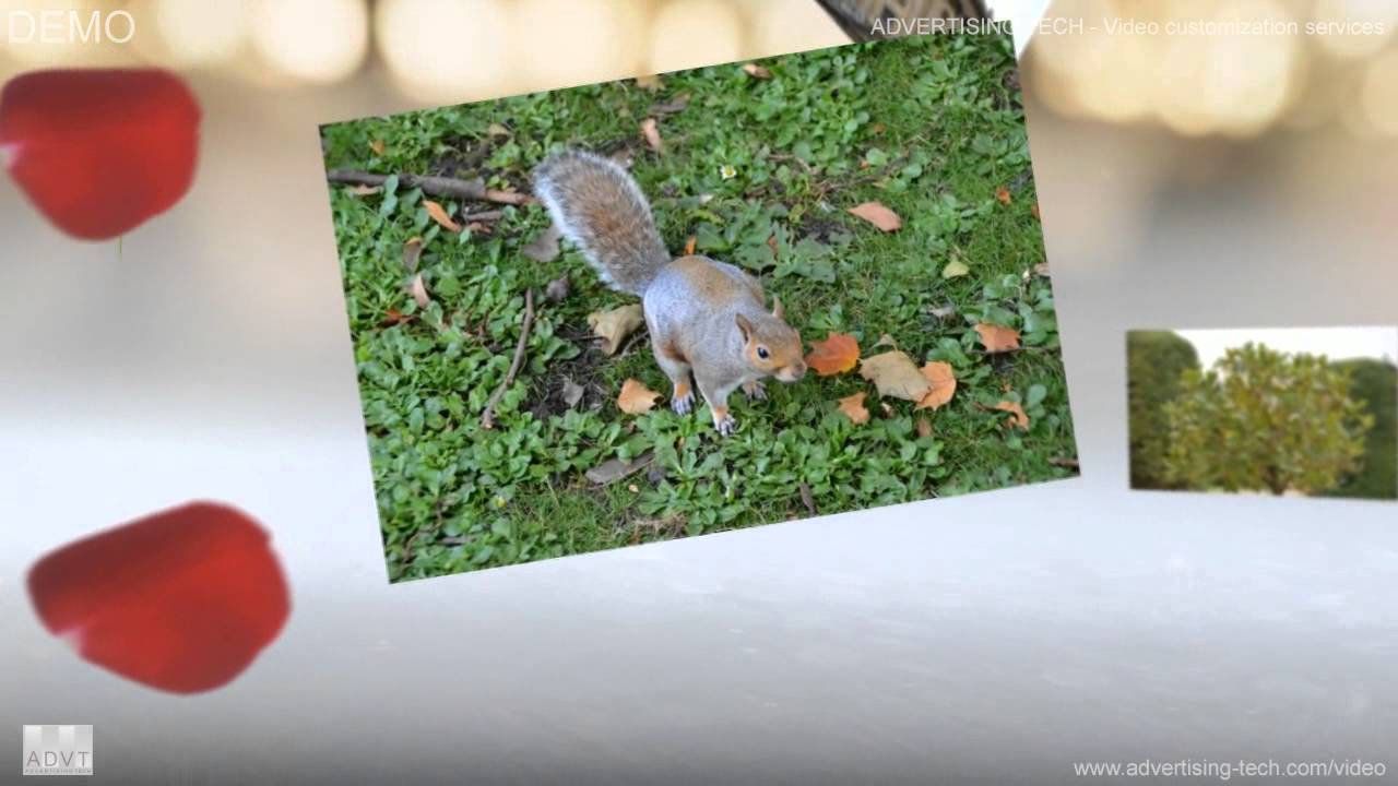 Video customization - Animoto Coming Up Roses - YouTube