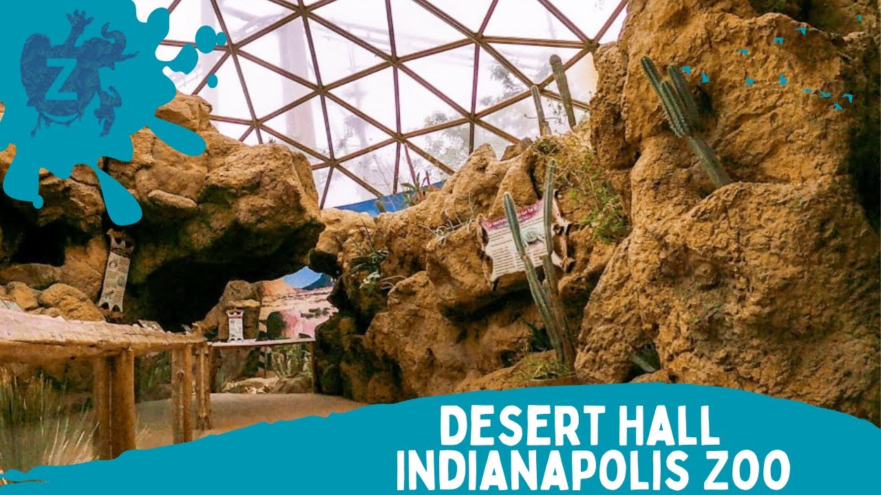 Indianapolis Zoo - Desert Hall - YouTube