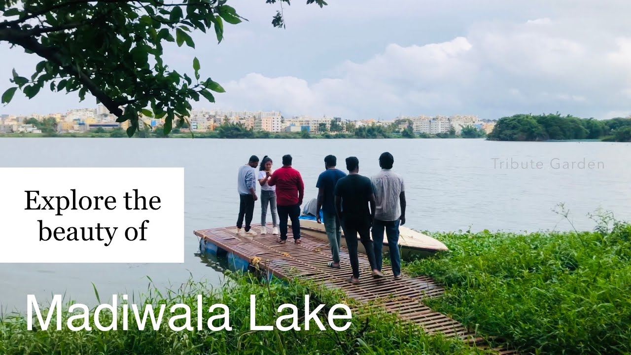 😍Explore the greenery of Madiwala Lake 💚 BTM Lake #bangalore - YouTube