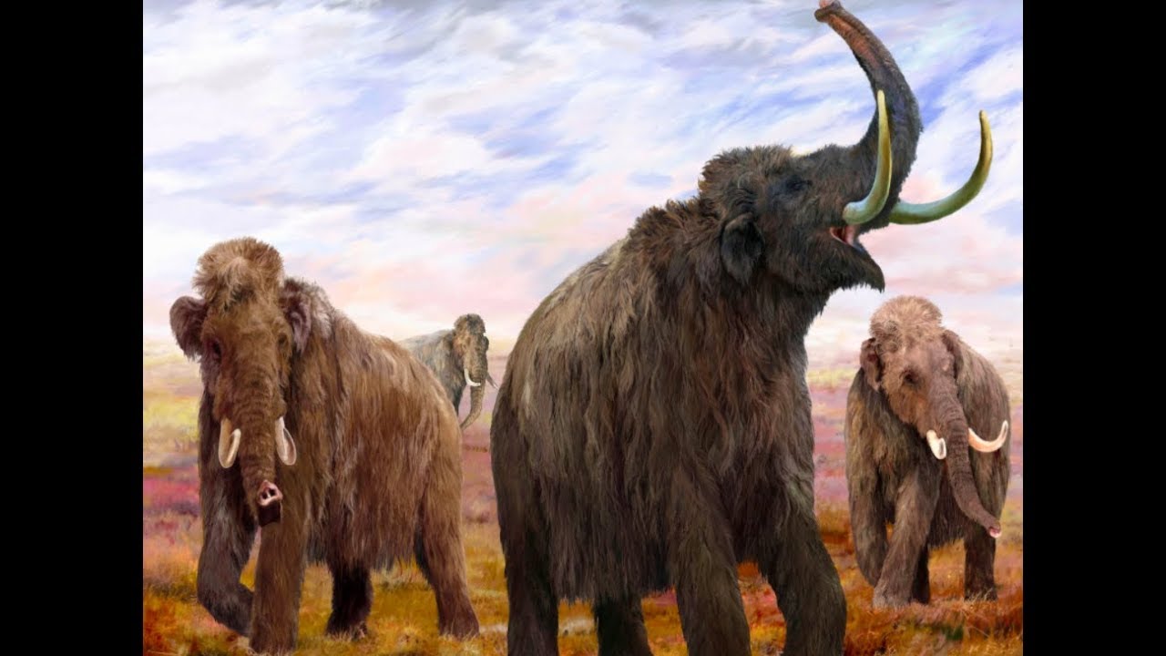 FARMING WOOLLY MAMMOTHS S4 E123 - YouTube