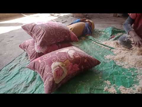 Banyak yg servis guling bantal karna kapuk nya udah hancur