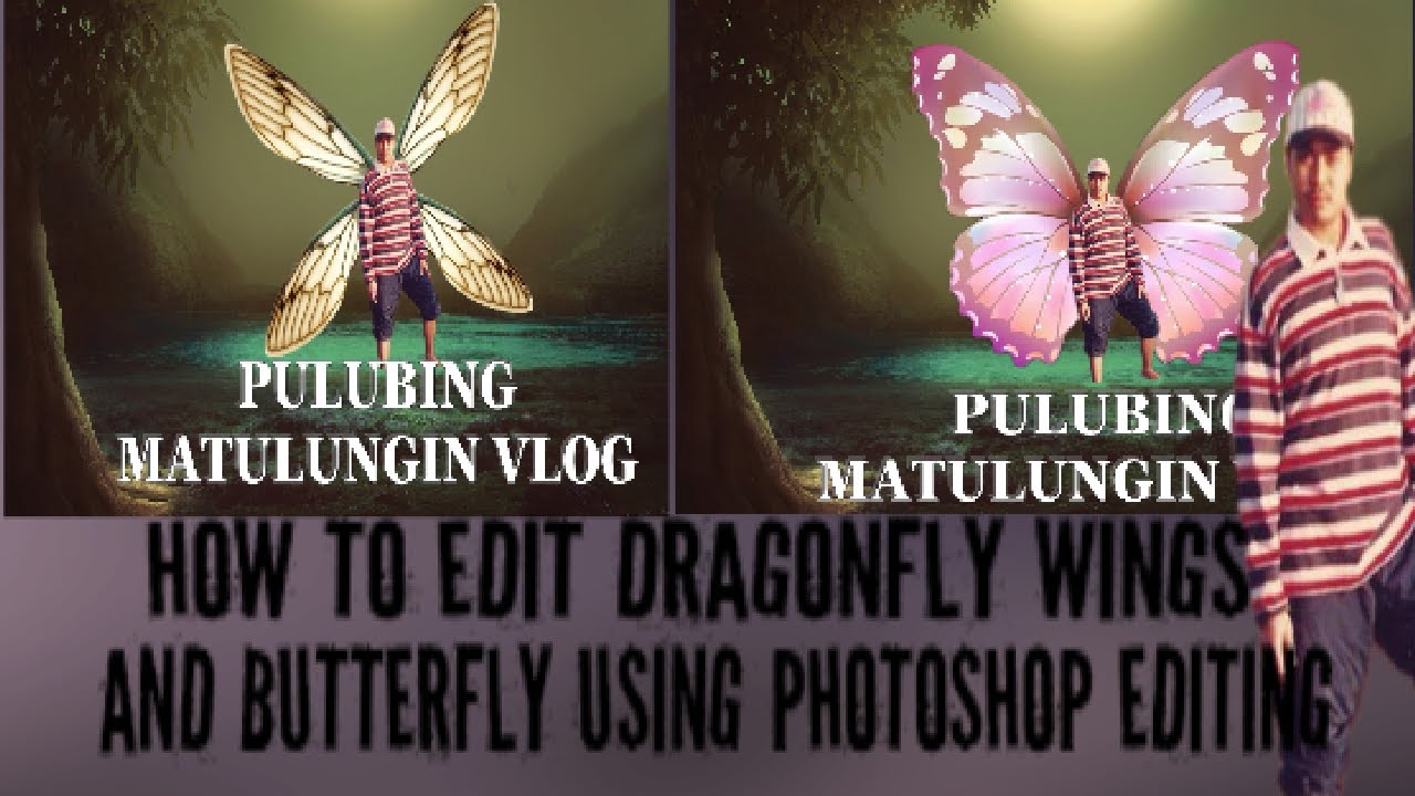Featuring Pulubing Matulungin Vlog in How to make a Animated Flies ...
