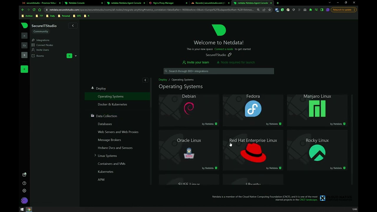Install Netdata On Proxmox Container With Cloudflare And Nginx Proxy 4080