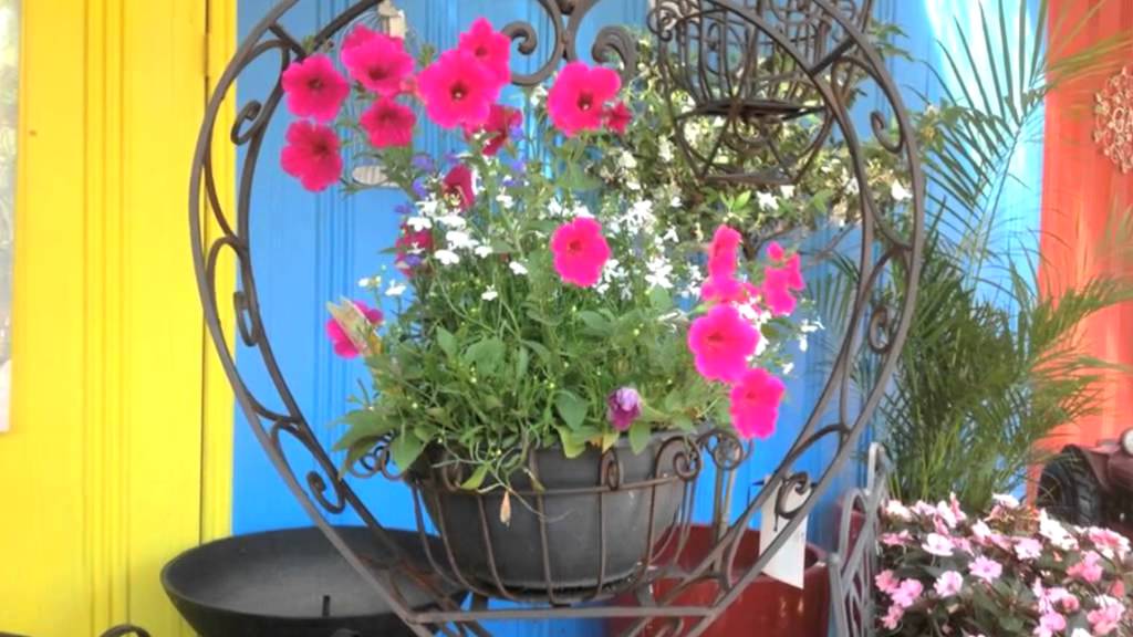 Green 'N' Grow Garden Centre - YouTube