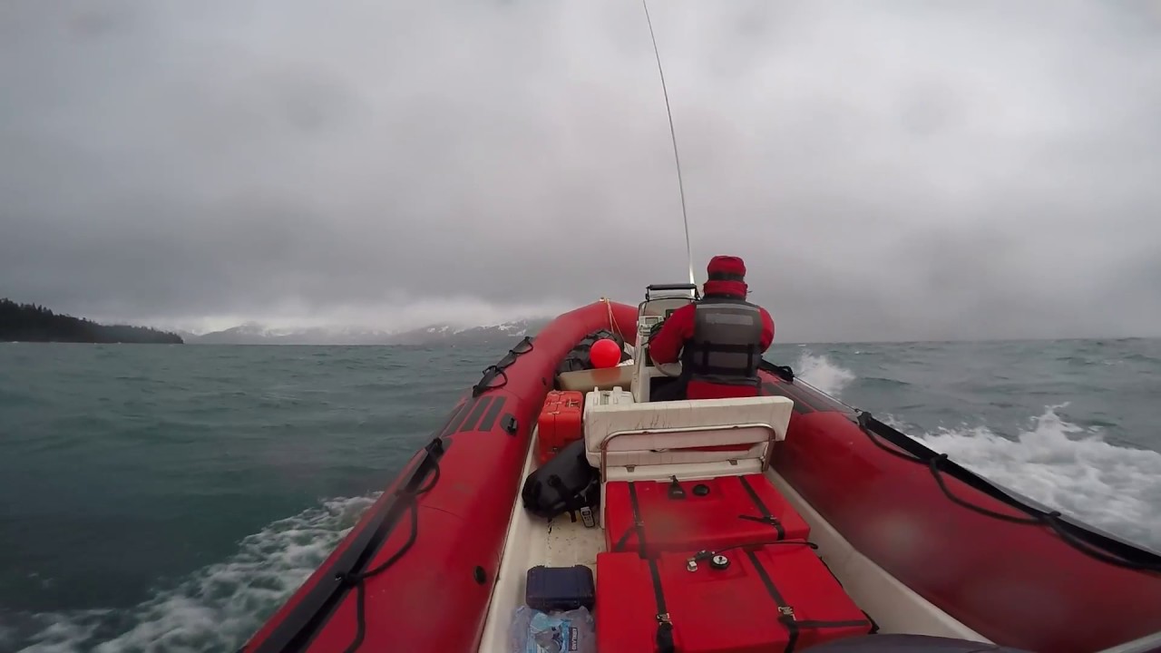 Zodiac Pro 16 Prince William Sound Alaska - YouTube