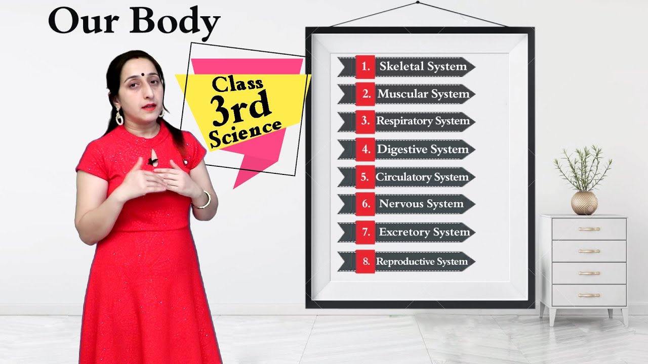 Our Body (Part 2) | Class 3rd | Kanchan Classes - YouTube