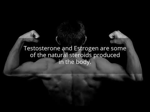 What Are Some Natural Steroids In The Body? - YouTube