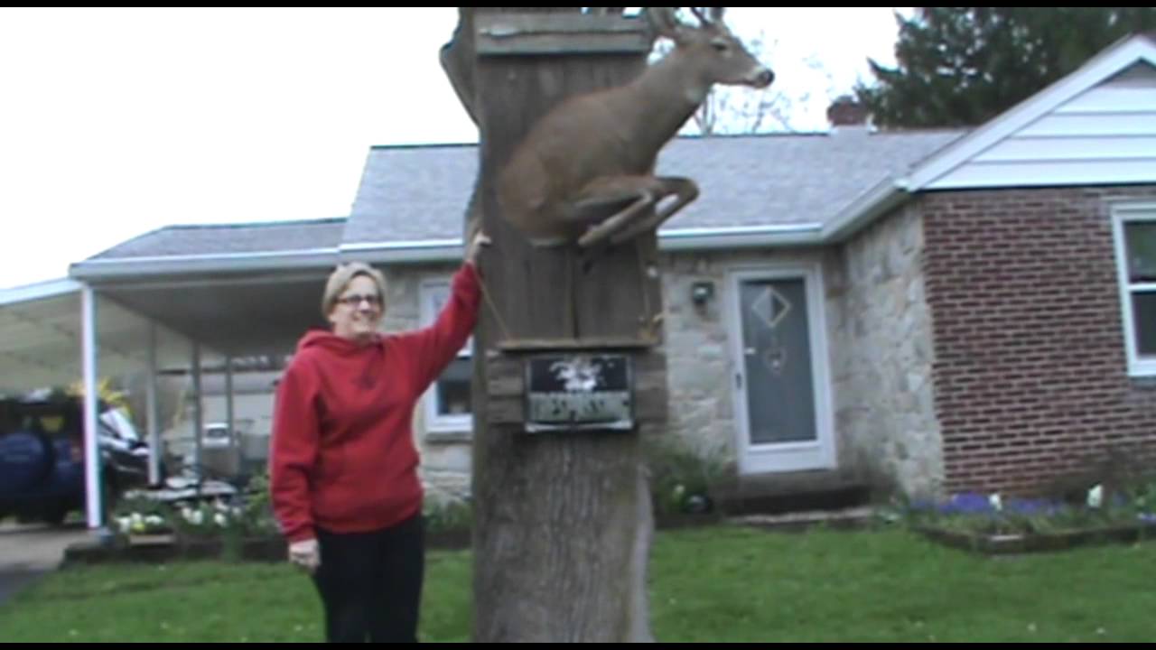 Home Security Redneck Style - YouTube