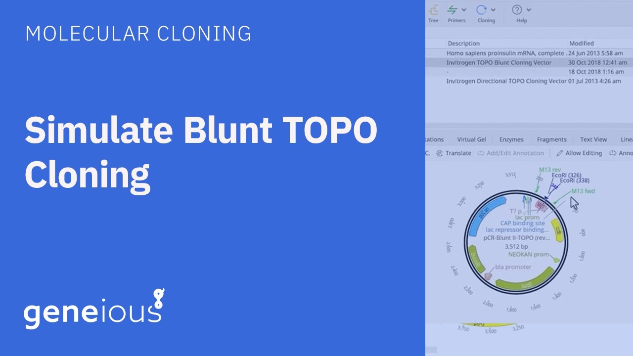 Blunt TOPO Cloning with Geneious Prime - YouTube