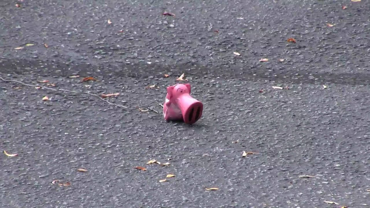 Exploding Pig - YouTube