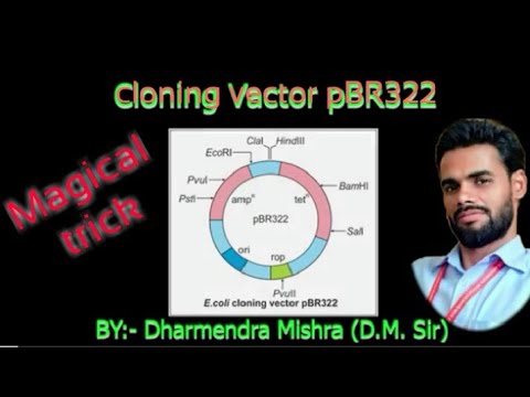 To learn cloning vector pBR322 BY an interesting trick - YouTube