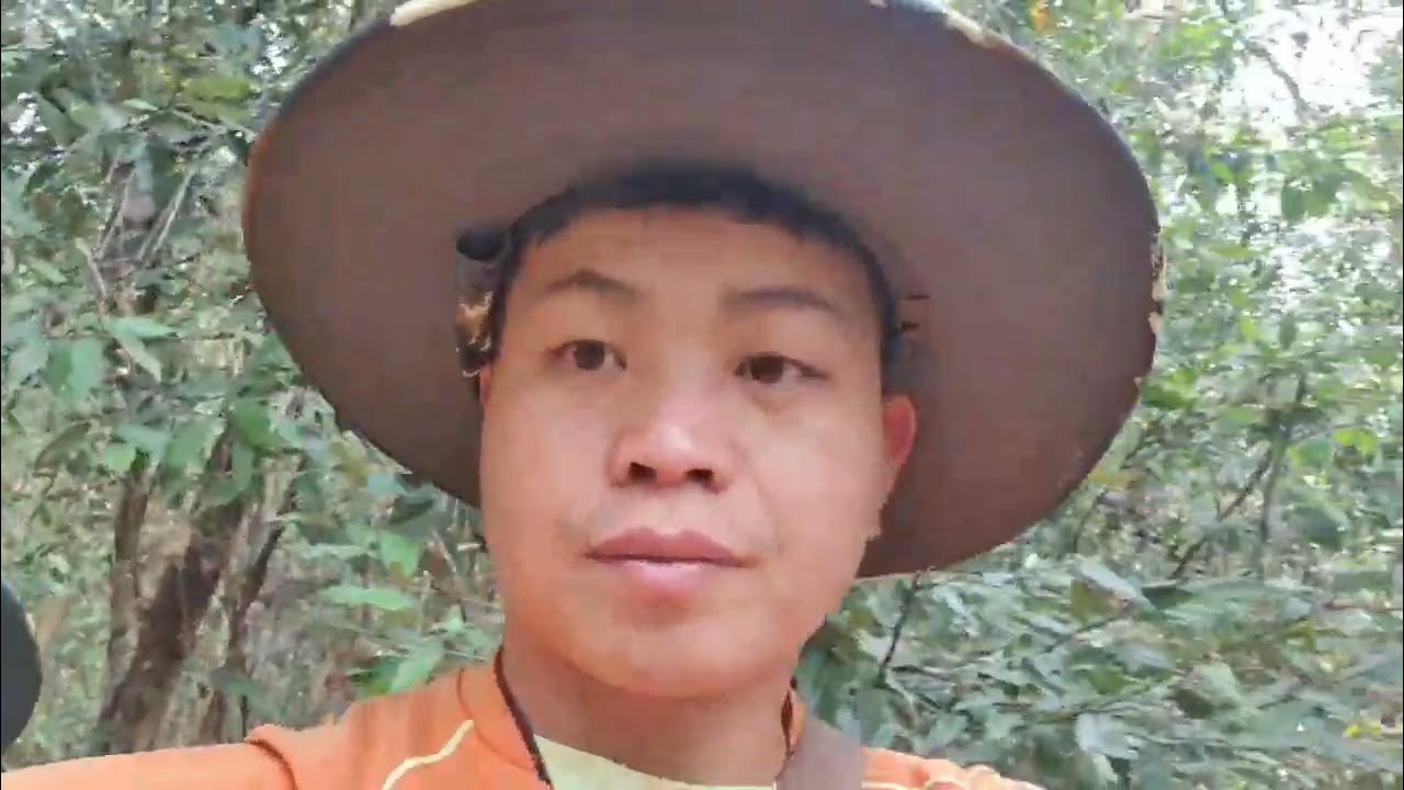 kuv tu niam tsev peb mu luaj teb cog nplej - YouTube