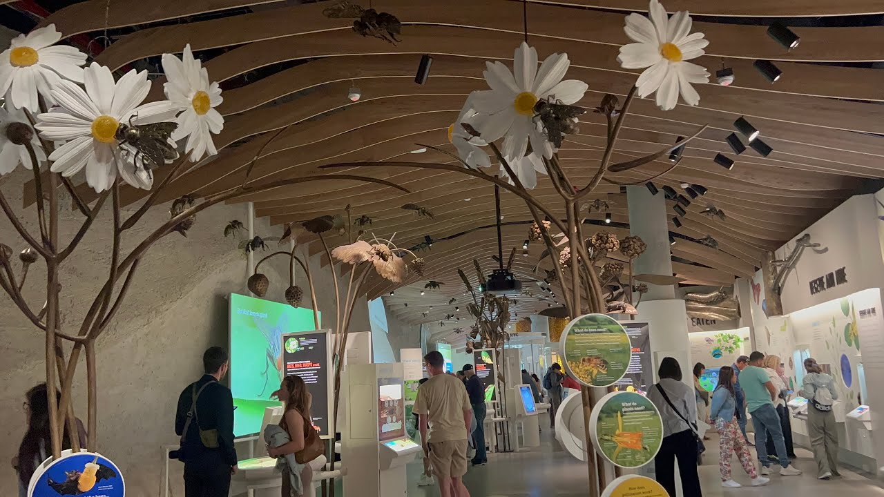 American Museum Of Natural History Tour | Insectarium Walkthrough ...
