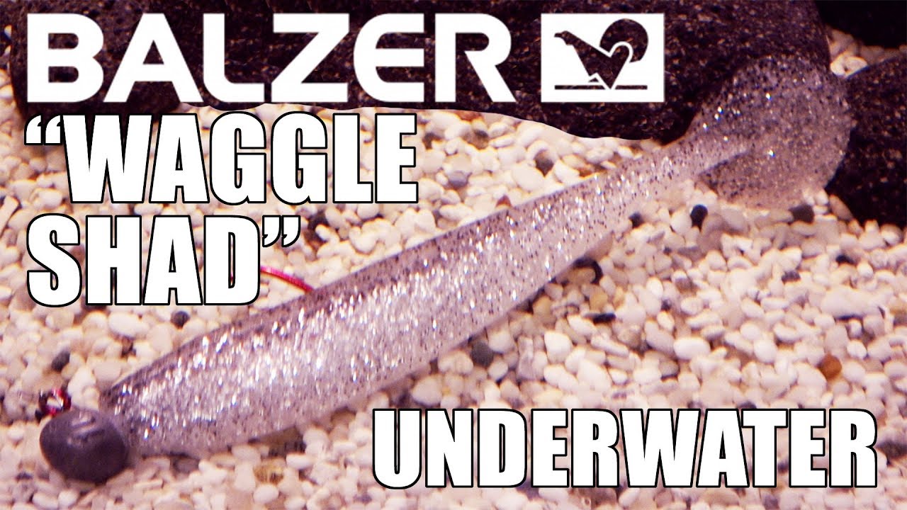 Balzer: Waggle Shad! Lure action! Underwater! Full HD - YouTube