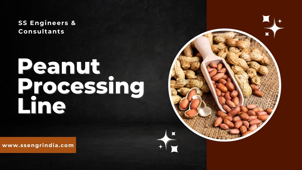 The Ultimate Peanut Processing Line Tour: Technology, Efficiency ...