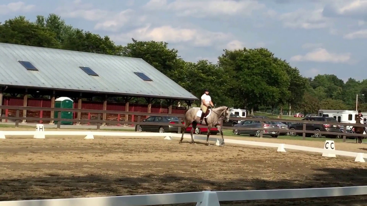 Celtic Country USDF Training Level Test 3 OCDA Show at Thomas Bull Park ...