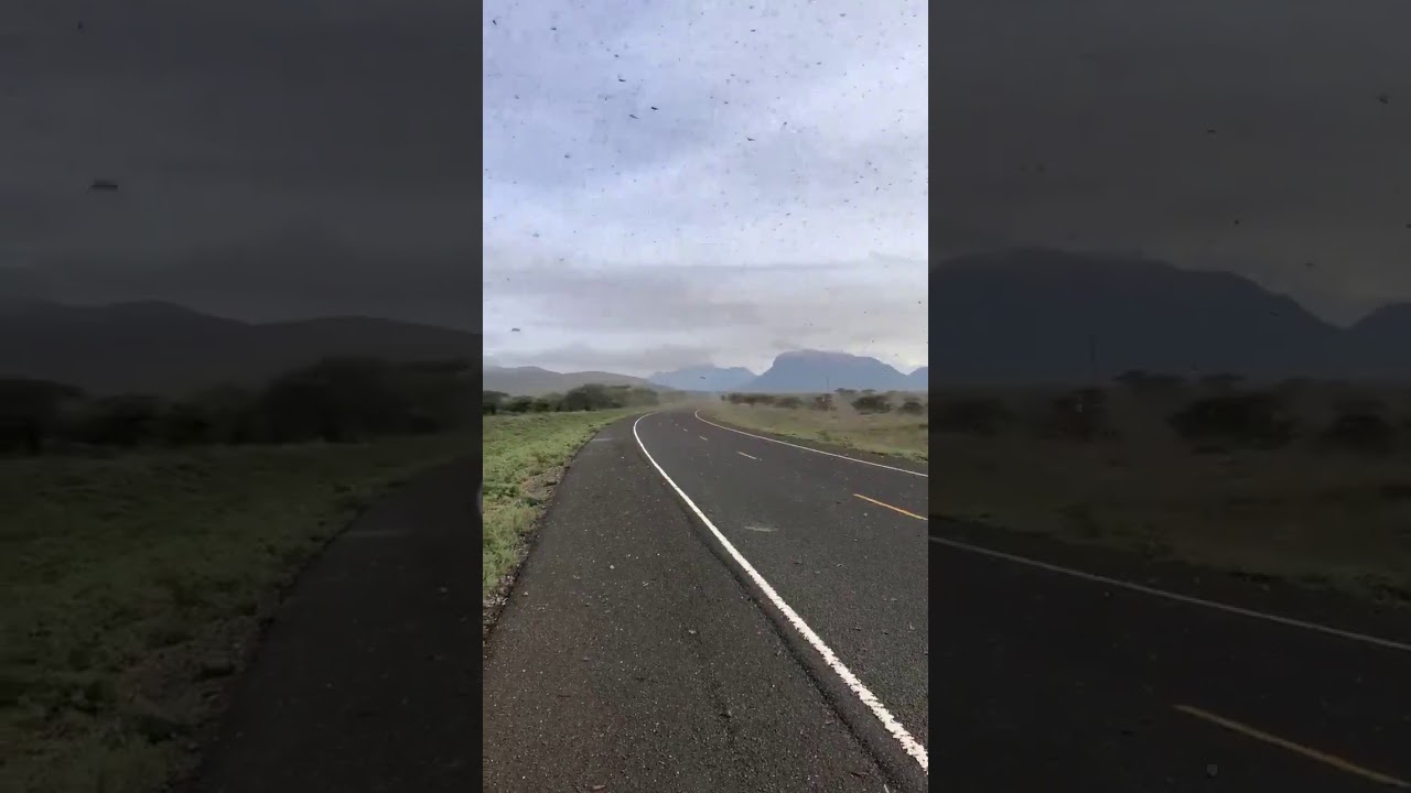 locust-19. Locusts storm in east Africa at unimaginable scale - YouTube
