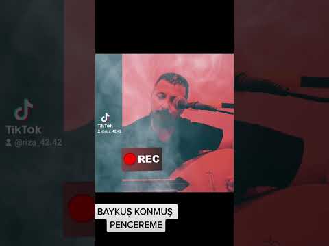BAYKUŞ KONMUŞ PENCEREME