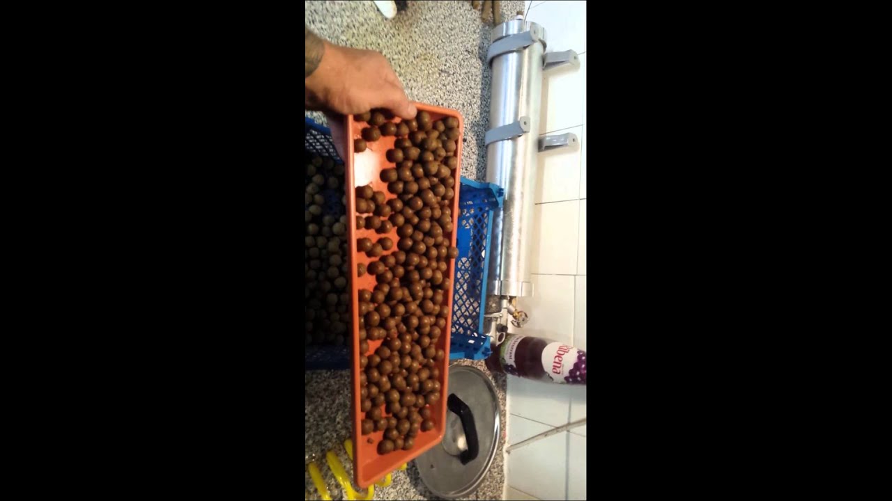 Boilie making rolling boiling and drying - YouTube