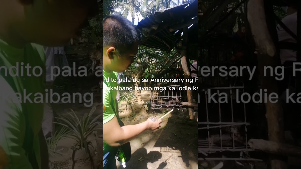 singgarong at kwago... coment nlng sa aking coment section qng ano ang ...