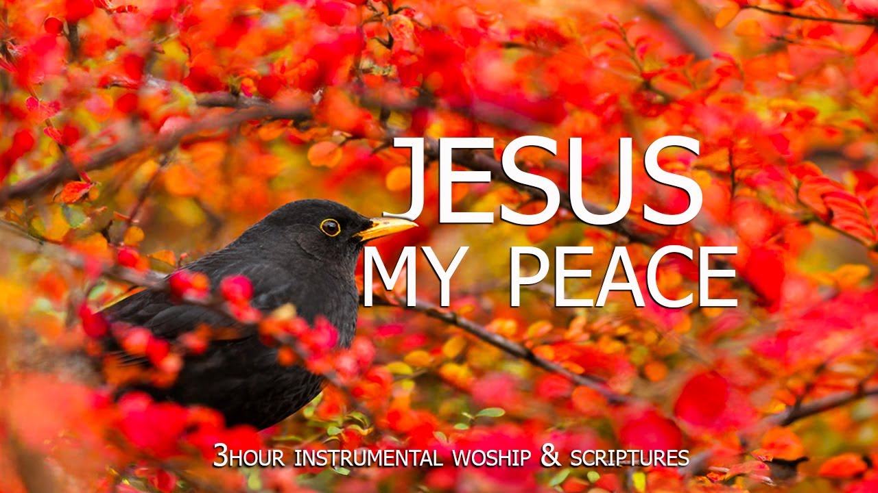 JESUS MY PEACE : Peaceful Birds & Autumn Worship Piano with Heart ...