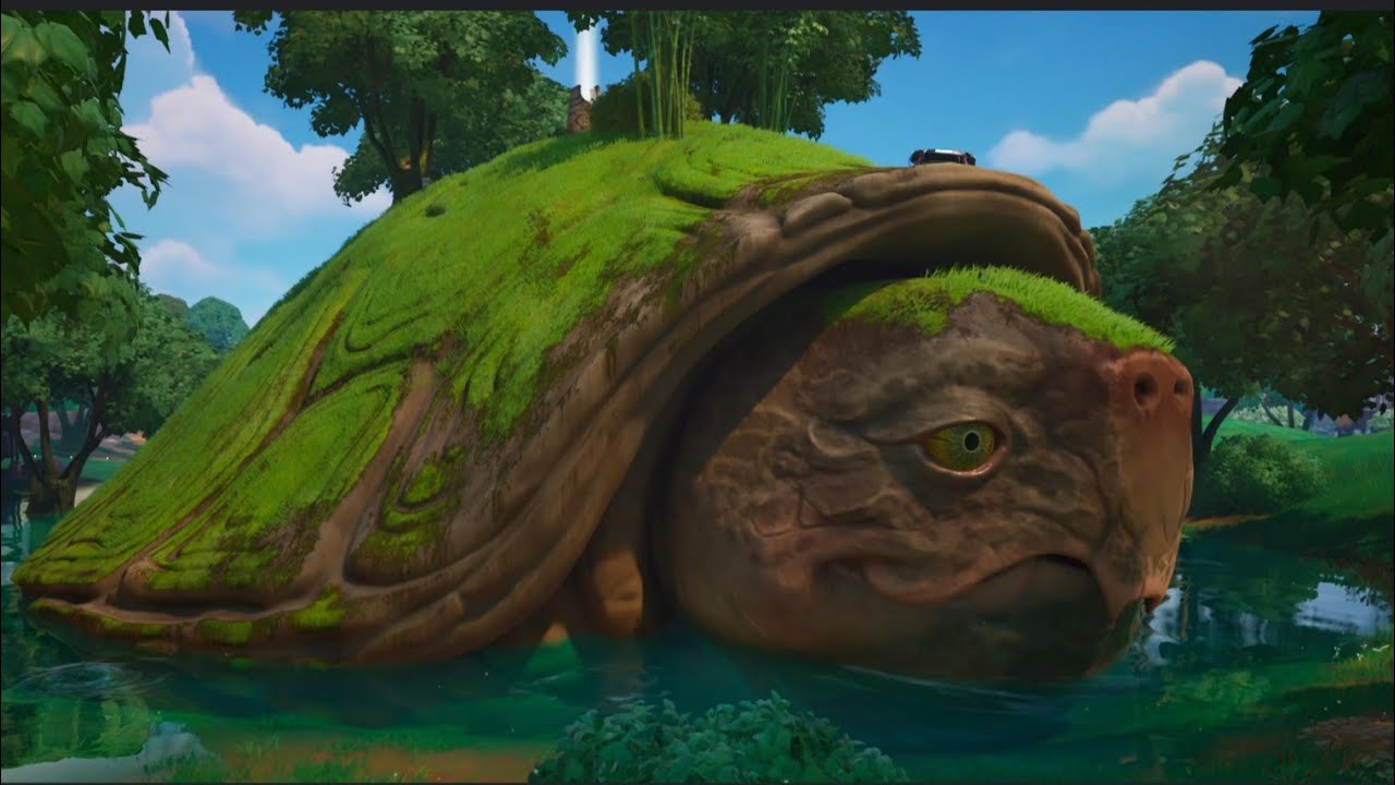 Oliver Showcase of Timmy an Henry the Turtles - YouTube