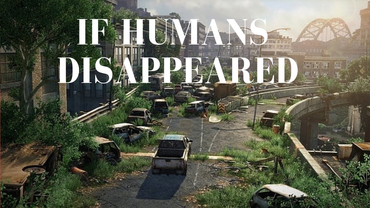 What Would Happen If Humans Disappeared ? - YouTube