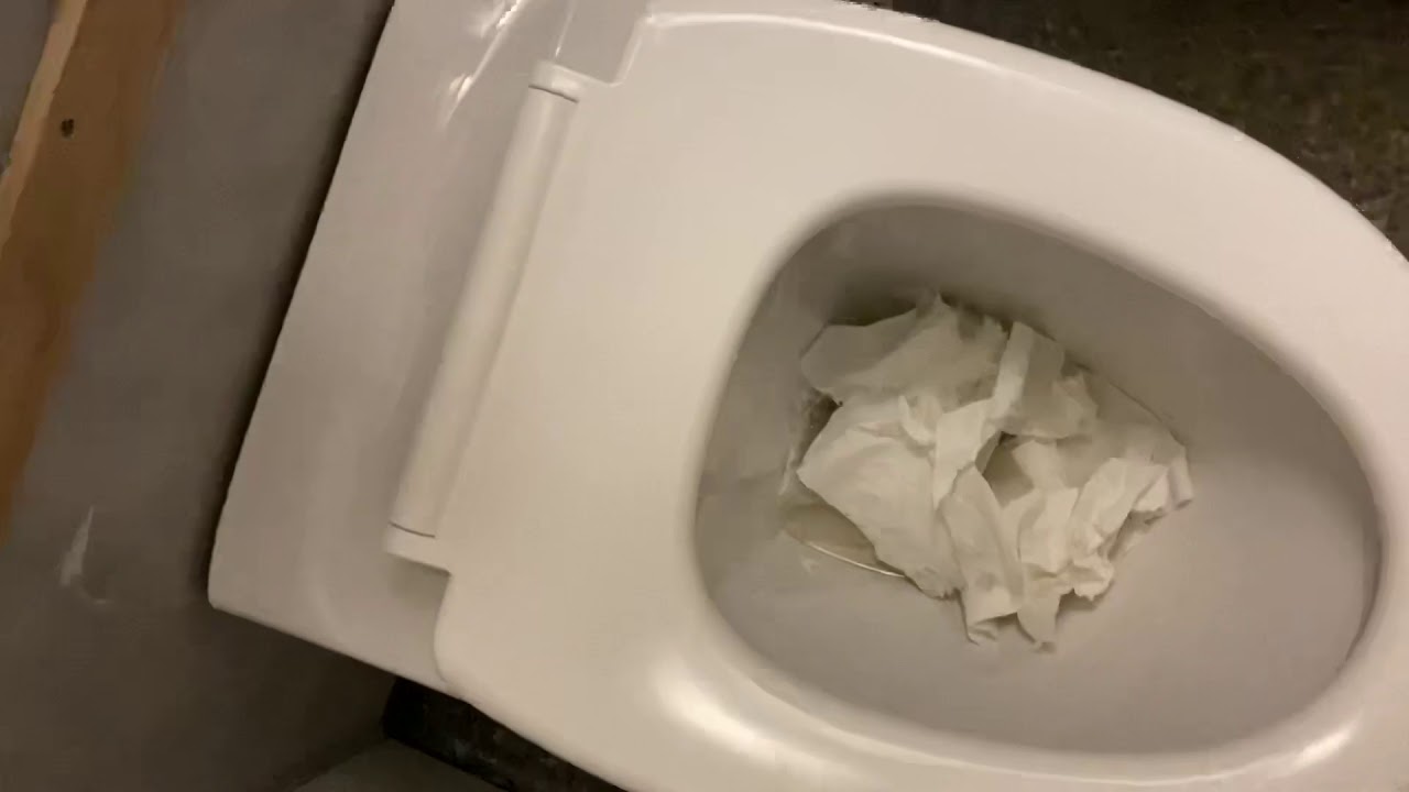 Gottae exposed on the ferry toilet. - YouTube