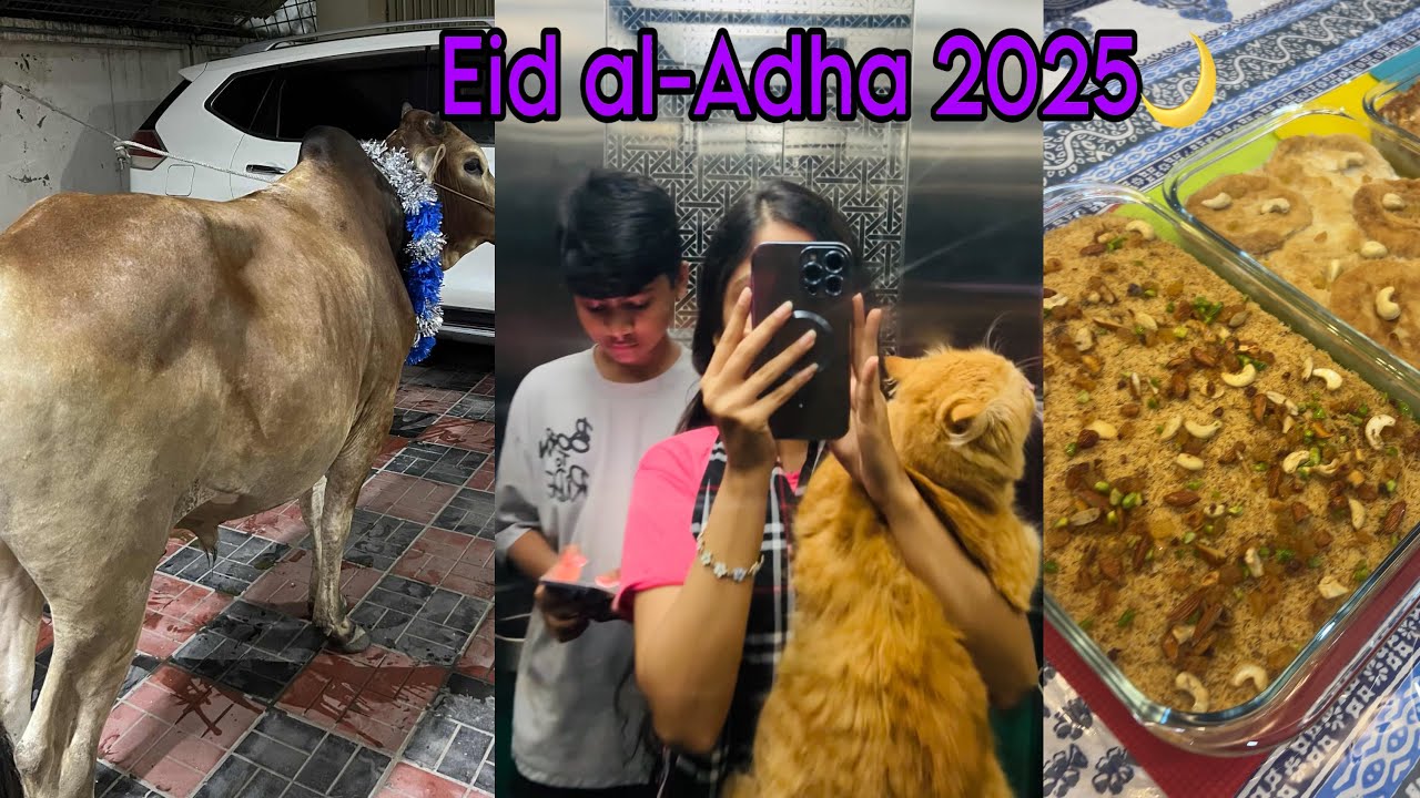 Eid al-Adha 2025 Vlog || Chand rat 🌙 || Ariana Anjum - YouTube