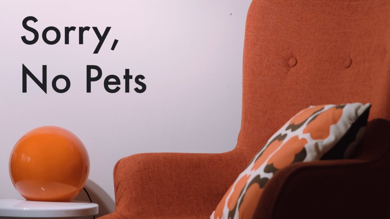 Sorry, No Pets - YouTube