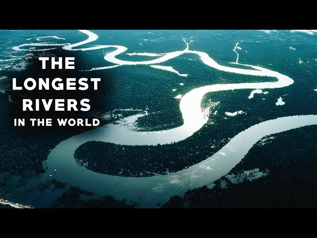 Top 10 Longest Rivers In The World