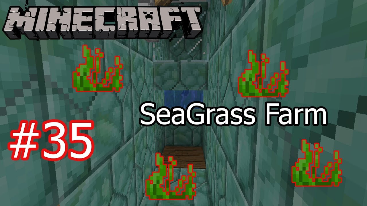 ไมน์คราฟต์ 1.13.1: ฟาร์มหญ้าทะเล SeaGrass Farm #35 l Minecraft เอาชีวิต ...