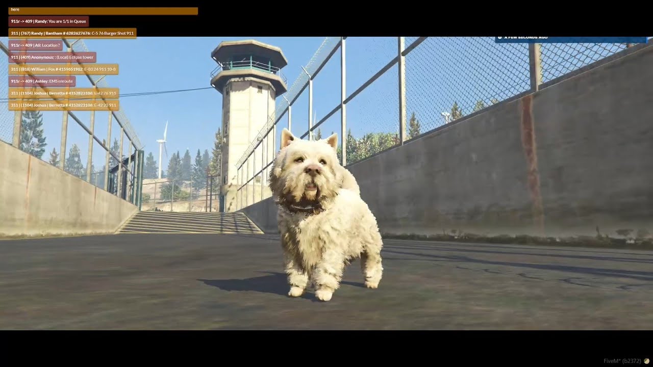 2022-07-25 The return of the Burn (Where's Waldo, Bimbus Dog) (Part 2/3 ...