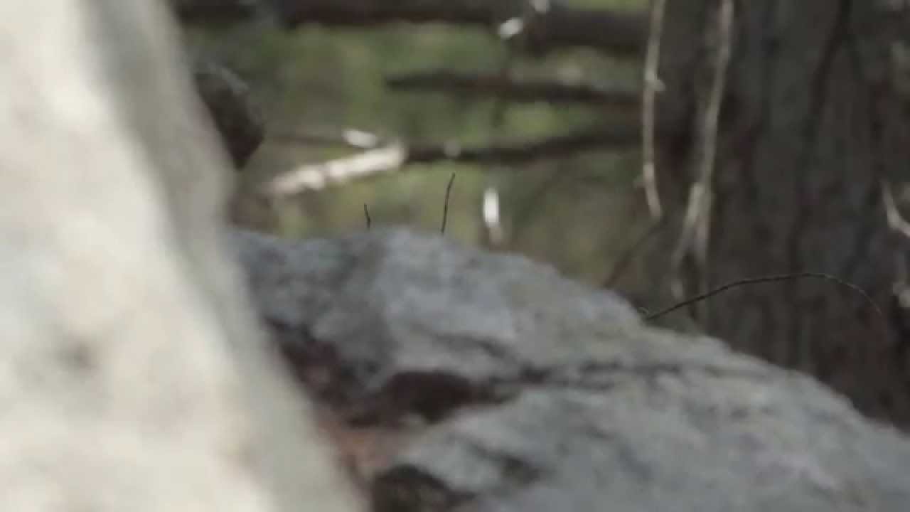 Royalty Free Ungraded Stock Footage - Foxboro F. Gilbert Hills State ...