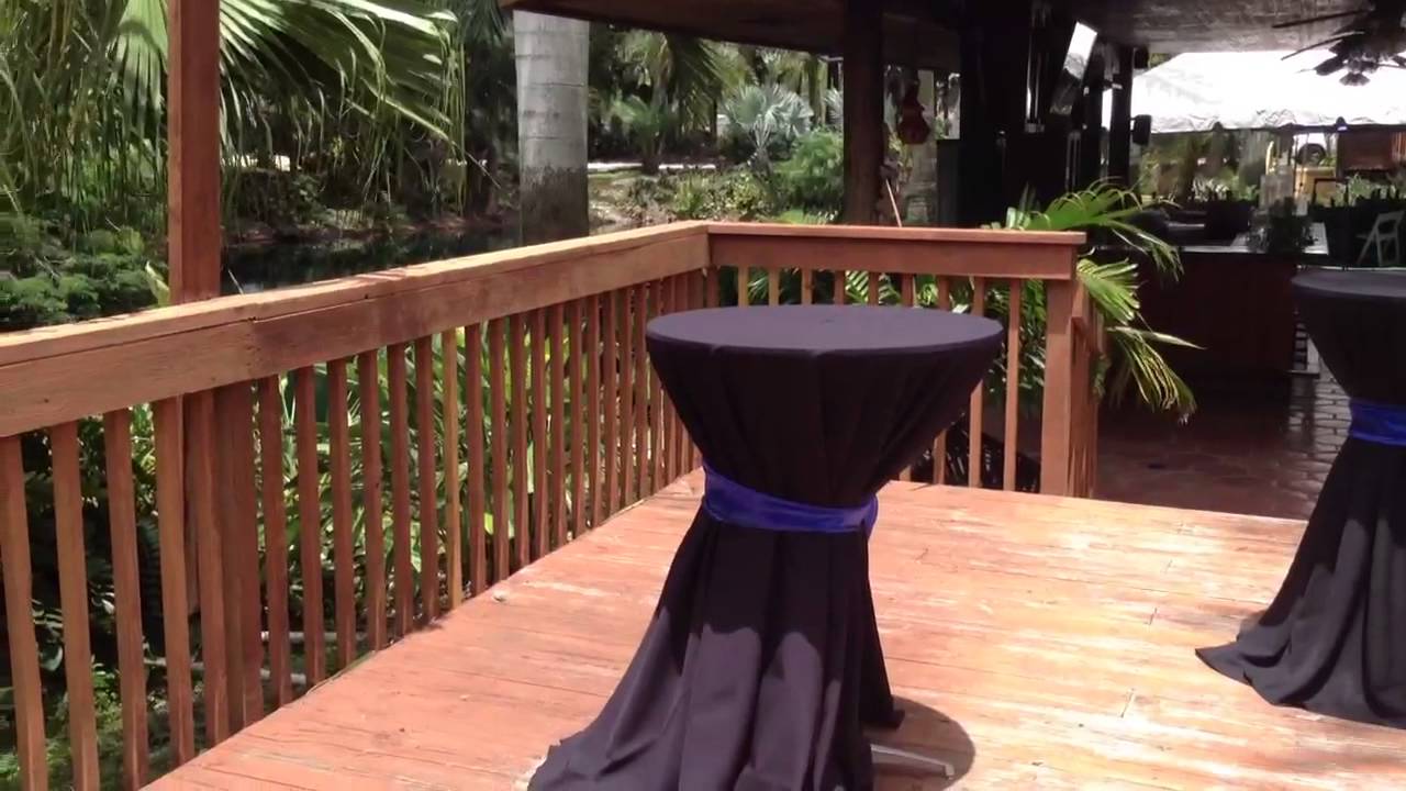 Pinto farm - YouTube