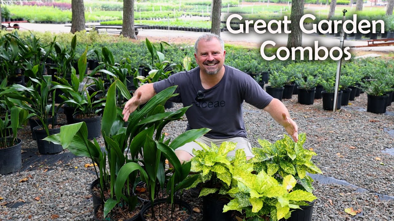 How To Pick Plants For The Greatest Impact In The Garden YouTube how-to-pick-plants-for-the-greatest-impact-in-the-garden-youtube